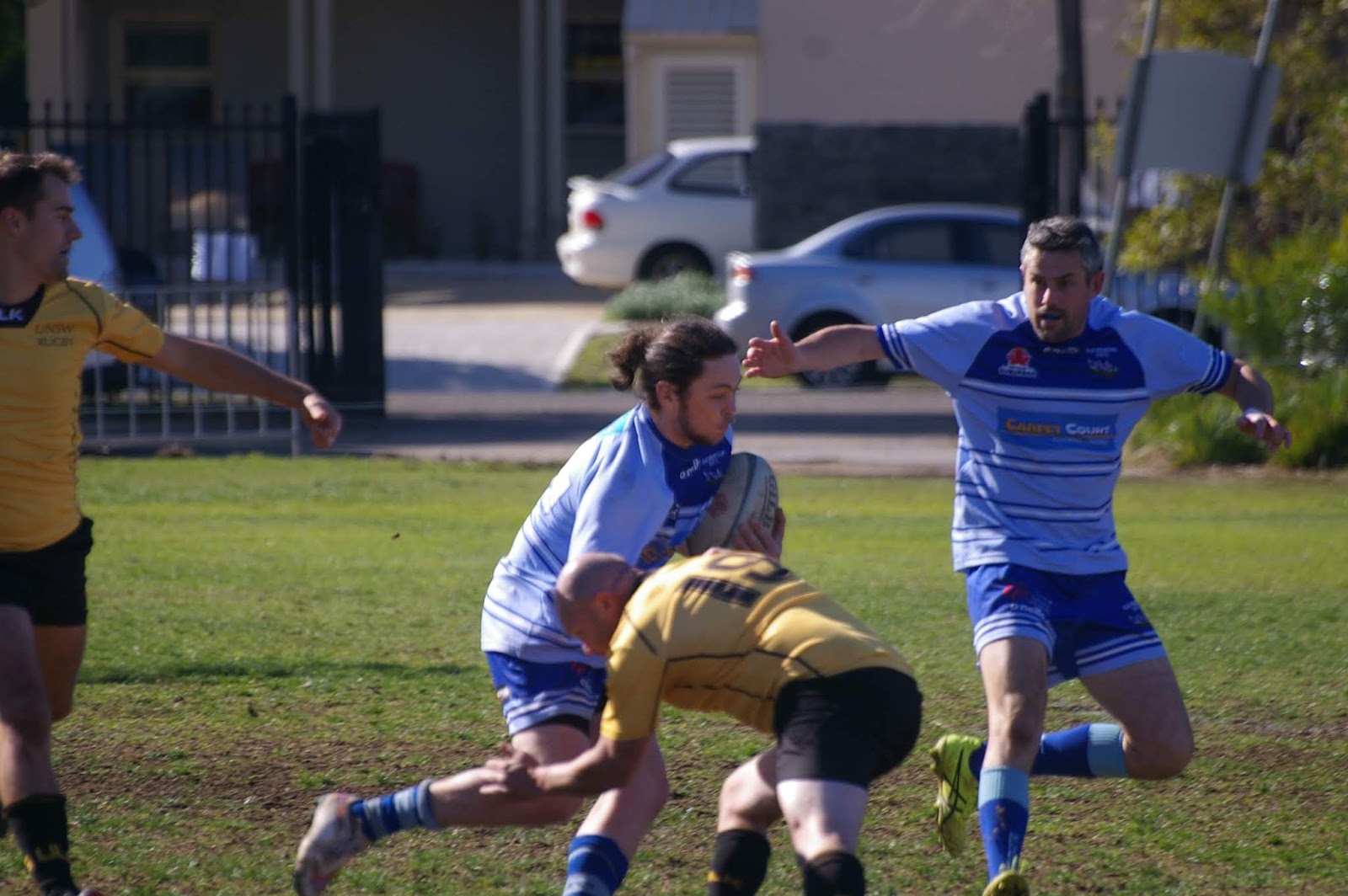 Blue Mountains Rugby Overflow: UNSW 7.7.18