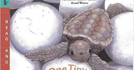 [PDF] One Tiny Turtle - Free Download and Read Ebook Iuliathea