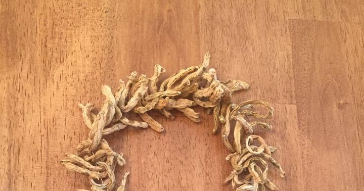 Appalachian Mountain Roots: Have You Ever Eaten Leather Britches?