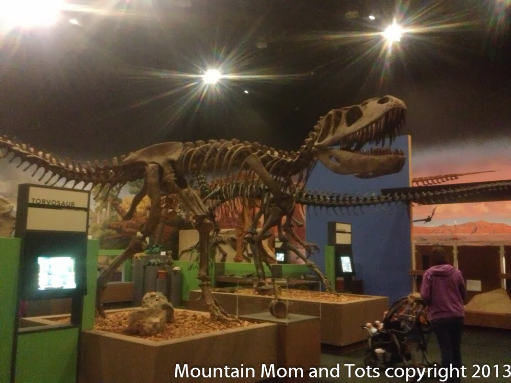 Ogden's George S. Eccles Dinosaur Park, Ogden, Utah - Mountain Mom and Tots