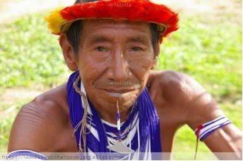Etnias indígenas del estado amazonas: PIAROA