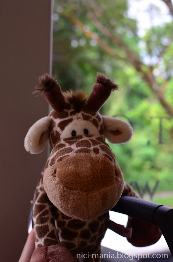 NICI-Mania - i ♥ Love NICI Plush Toys: NICI Giraffe