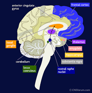 Don Mangus' "It Only Hurts When I Smirk.": Medical Diagrams of the ...