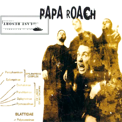 Rock Album Artwork: Papa Roach - Infest