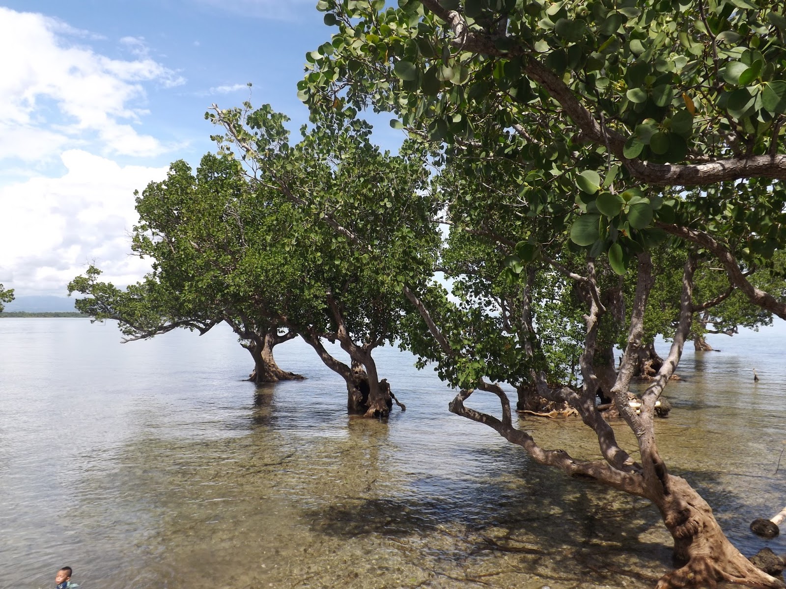 TRAVEL GUIDE: SUYAC ISLAND PHILIPPINES - Touristang Pobre