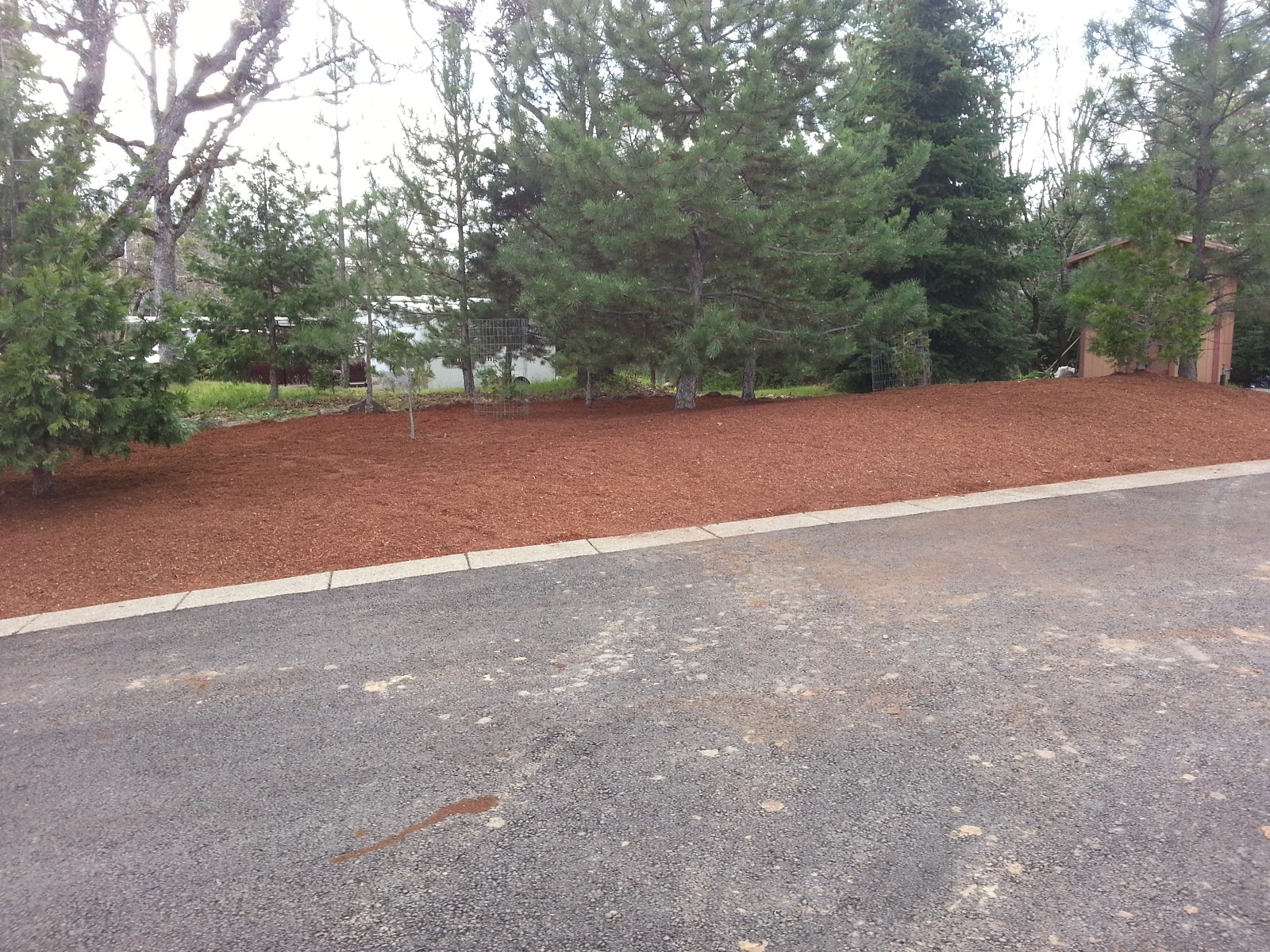Hill Top Landscaping: Barking 27 yards bark new look...