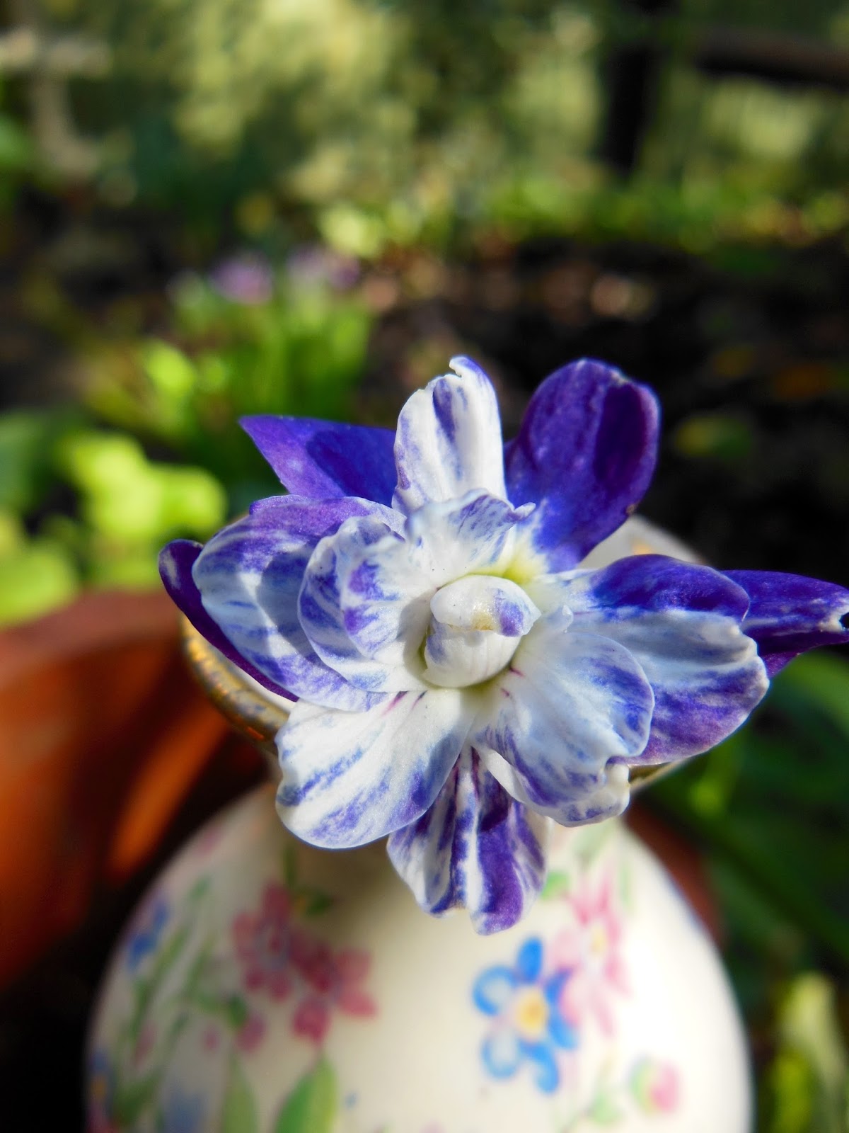 An angel in the garden: The Memory of Violets