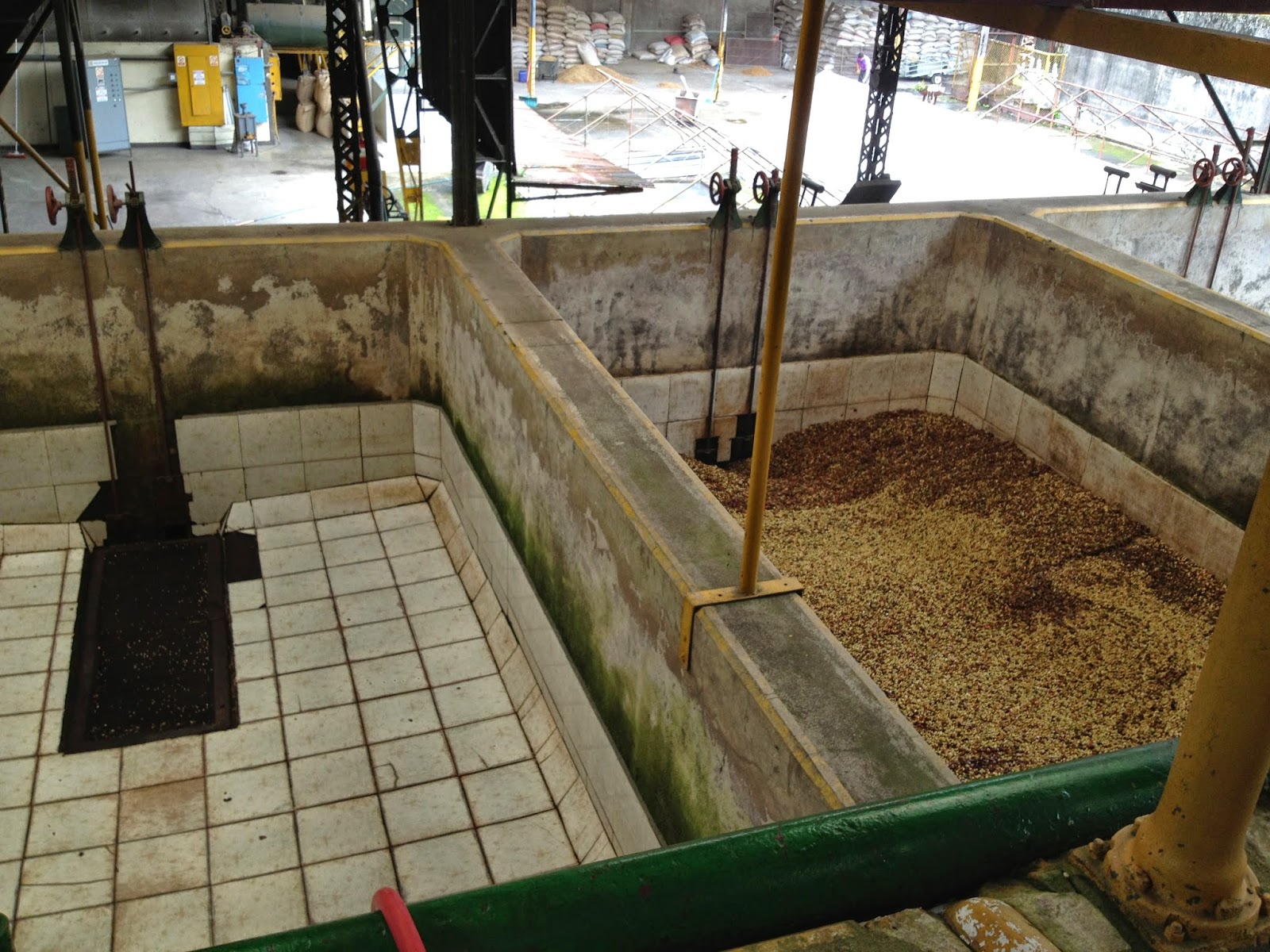 How to Make Coffee, Part 2: The Factory