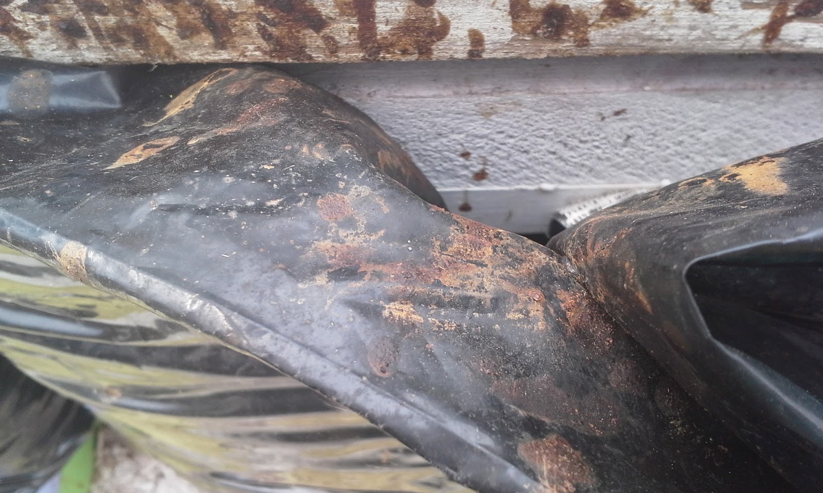 The Bee Journal: Bee Poop