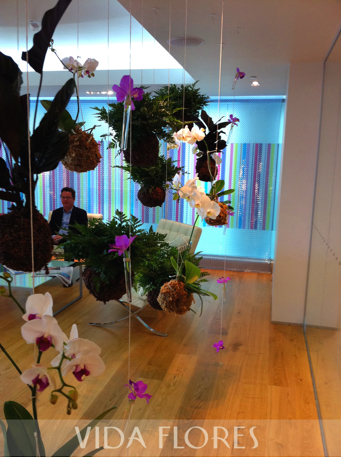 Vida Flores: String Garden