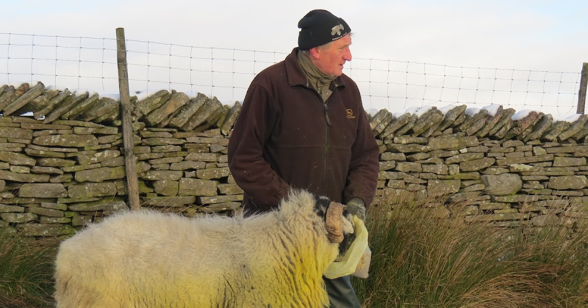 Pry House Farm www.upperswaledaleholidays.co.uk: Rudding and Tupping