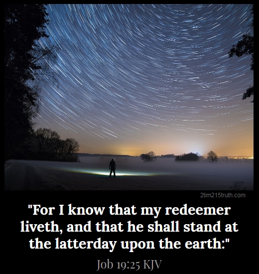 2 Timothy 2:15 Truth: Verse of the Day: Job 19:25 KJV