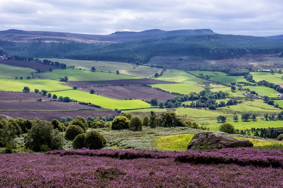 Bruce Charlton's Notions: A walk through paradise