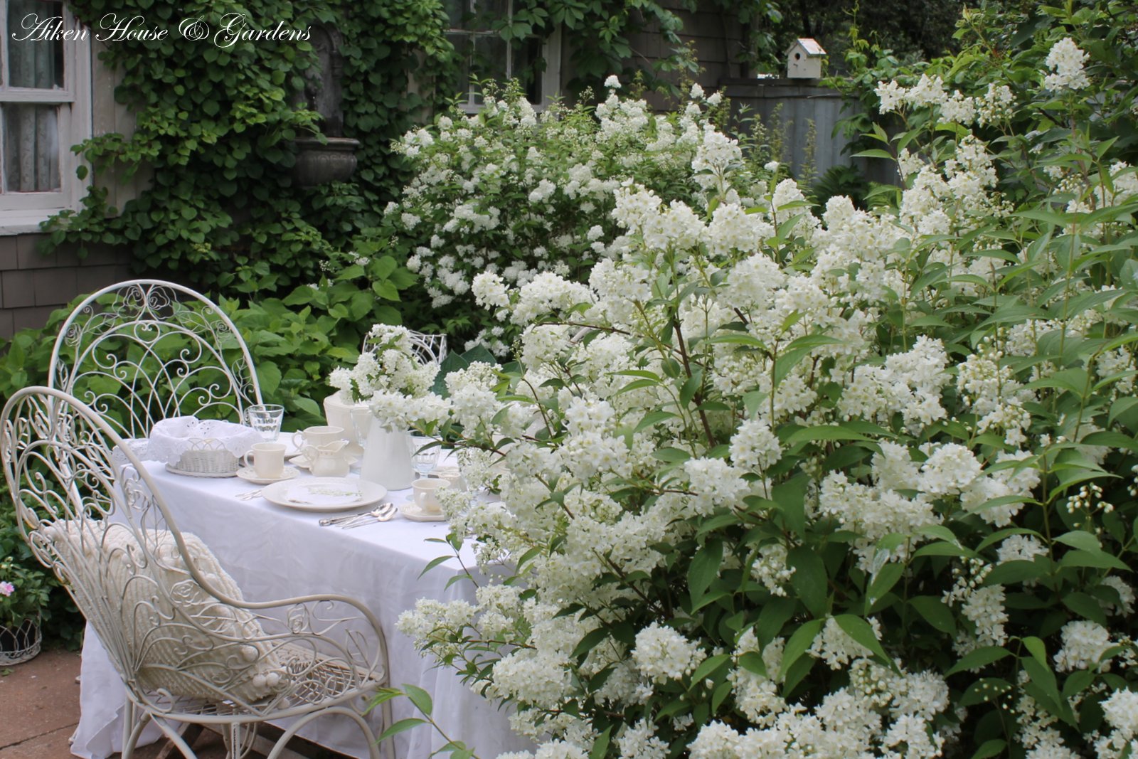 Aiken House & Gardens: White Splendor in the Garden