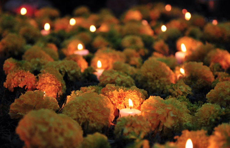 ANTEDILUVIANA: Significado de las flores del Día de Muertos