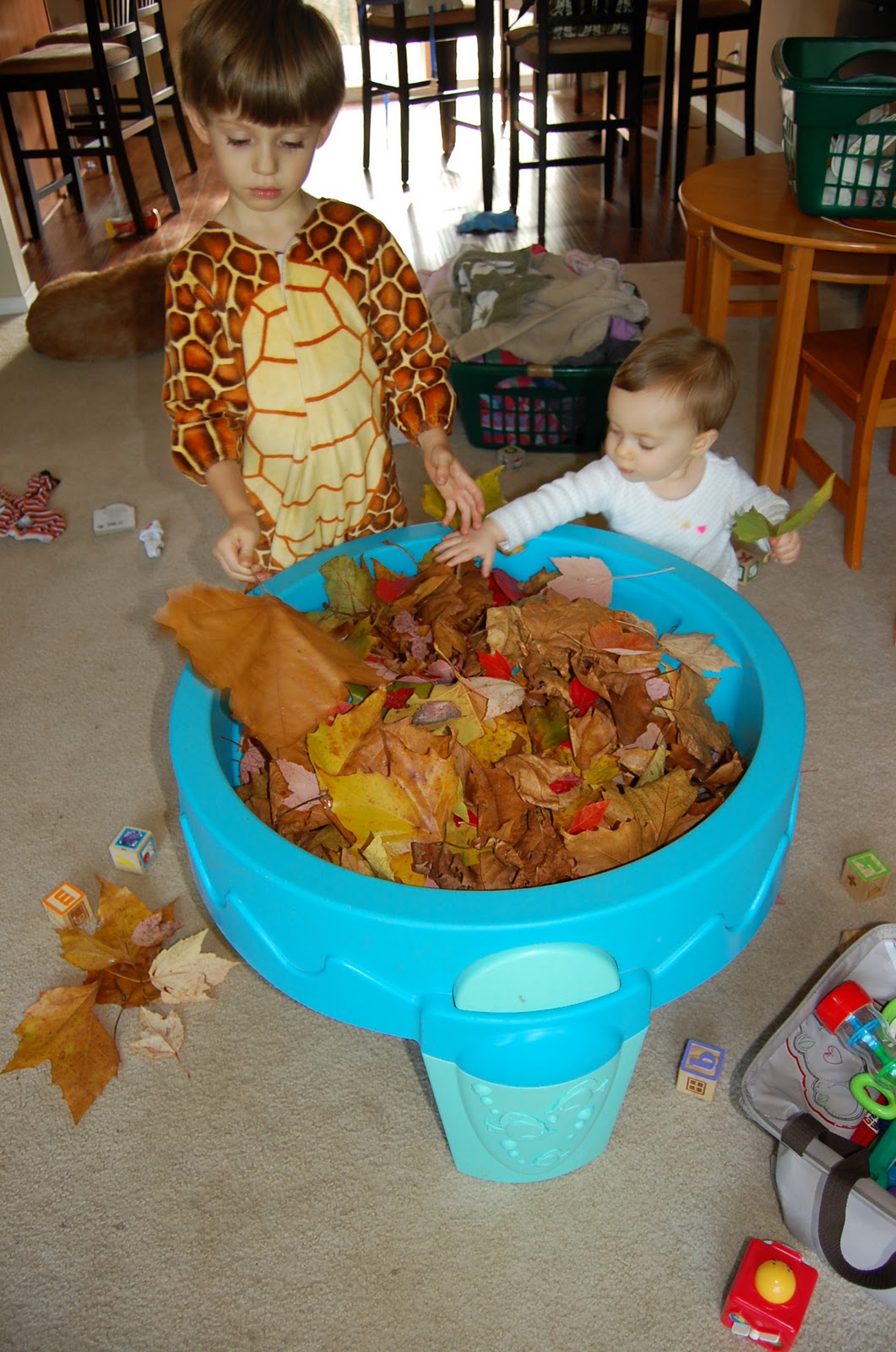 Preserving Life's Moments: Leaf Sensory Table