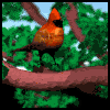 Animation Bundle: Animated Cardinals Chirping and Spreading Love of ...