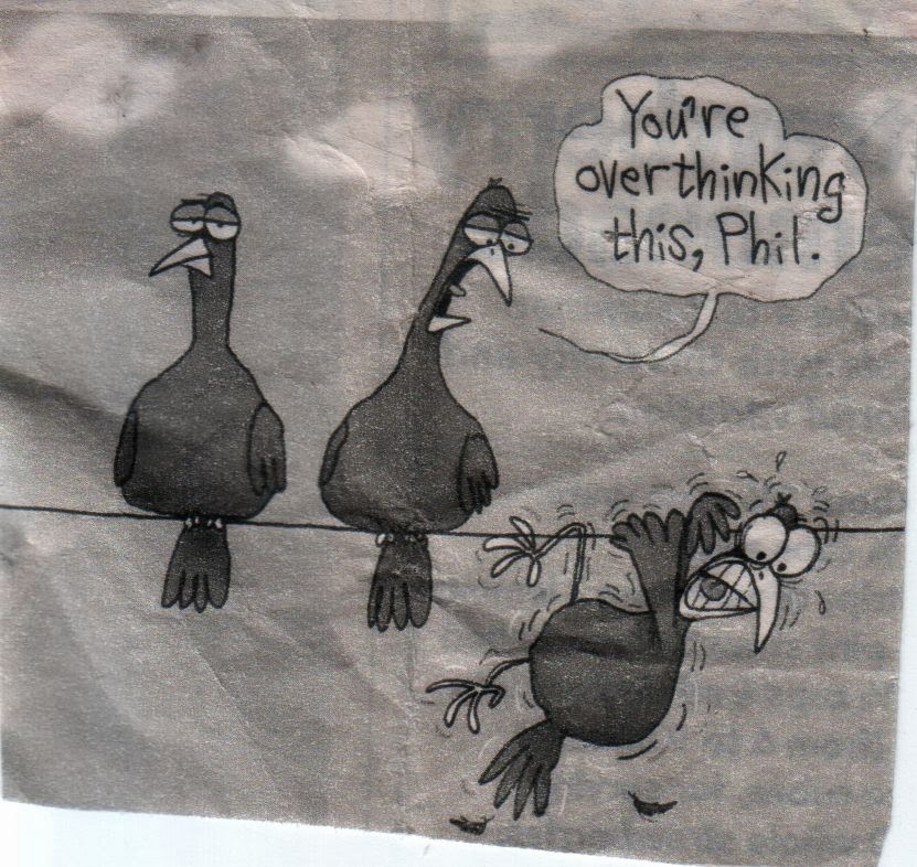 The Cat is Organic: Overthinking...