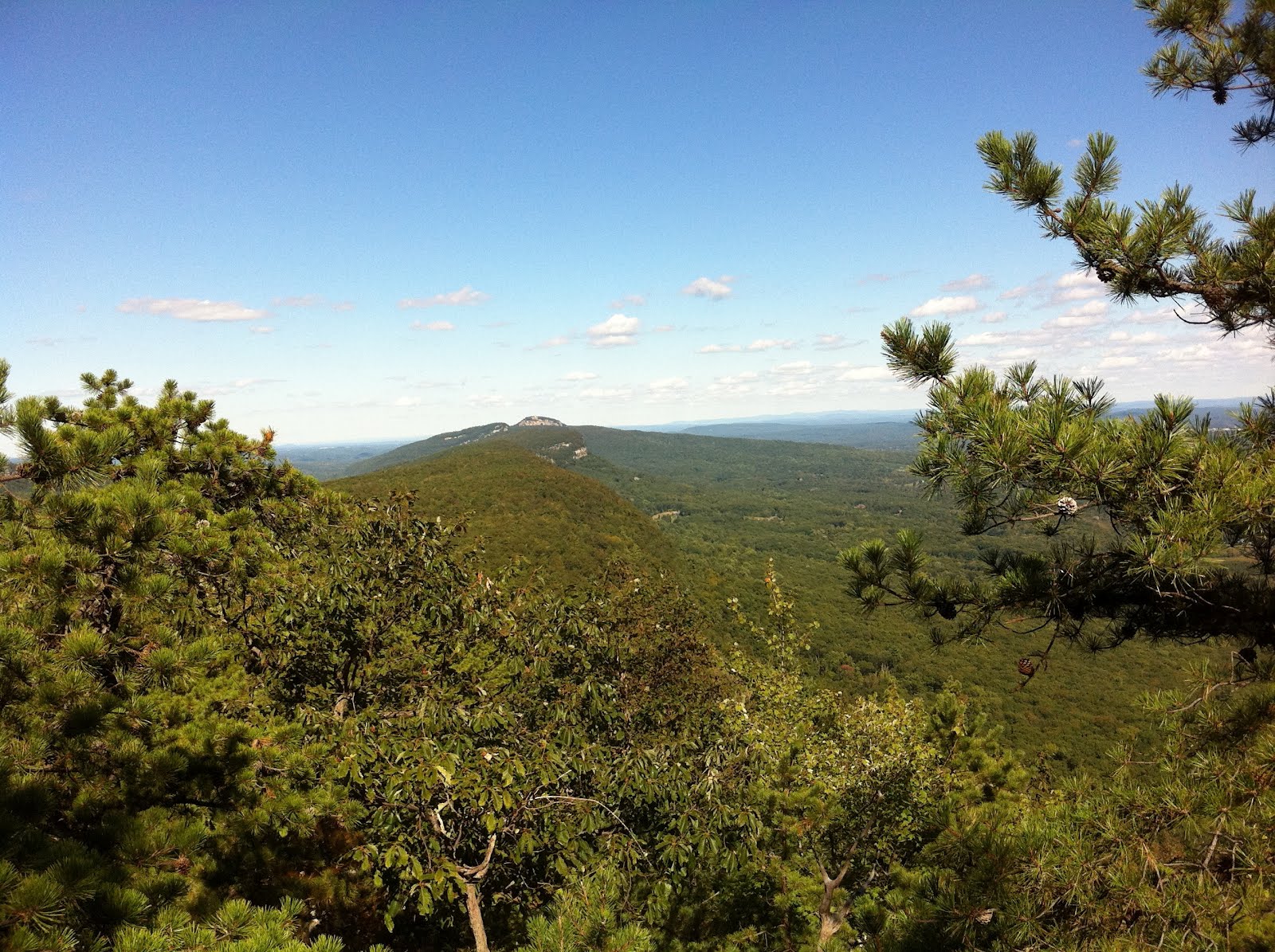 Agile Trekker: Millbrook Mountain via Millbrook Ridge Trail
