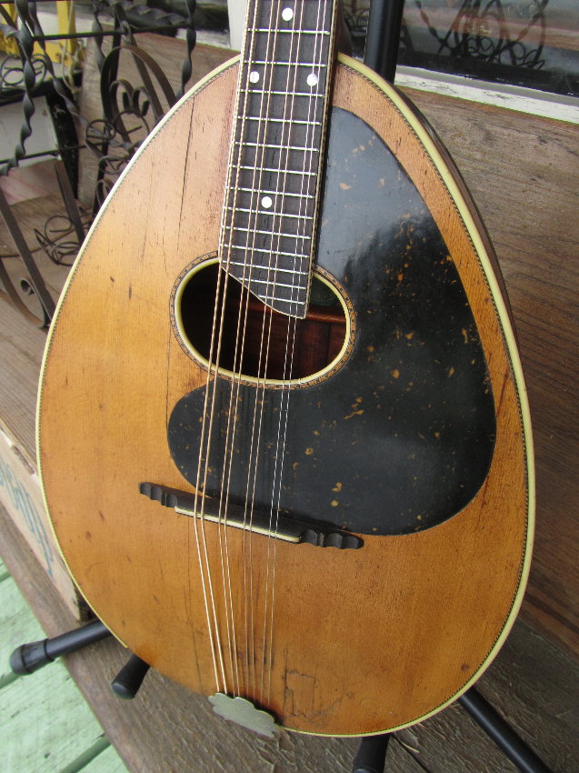 1914 Weymann Style 40 "Mandolute" Mandola