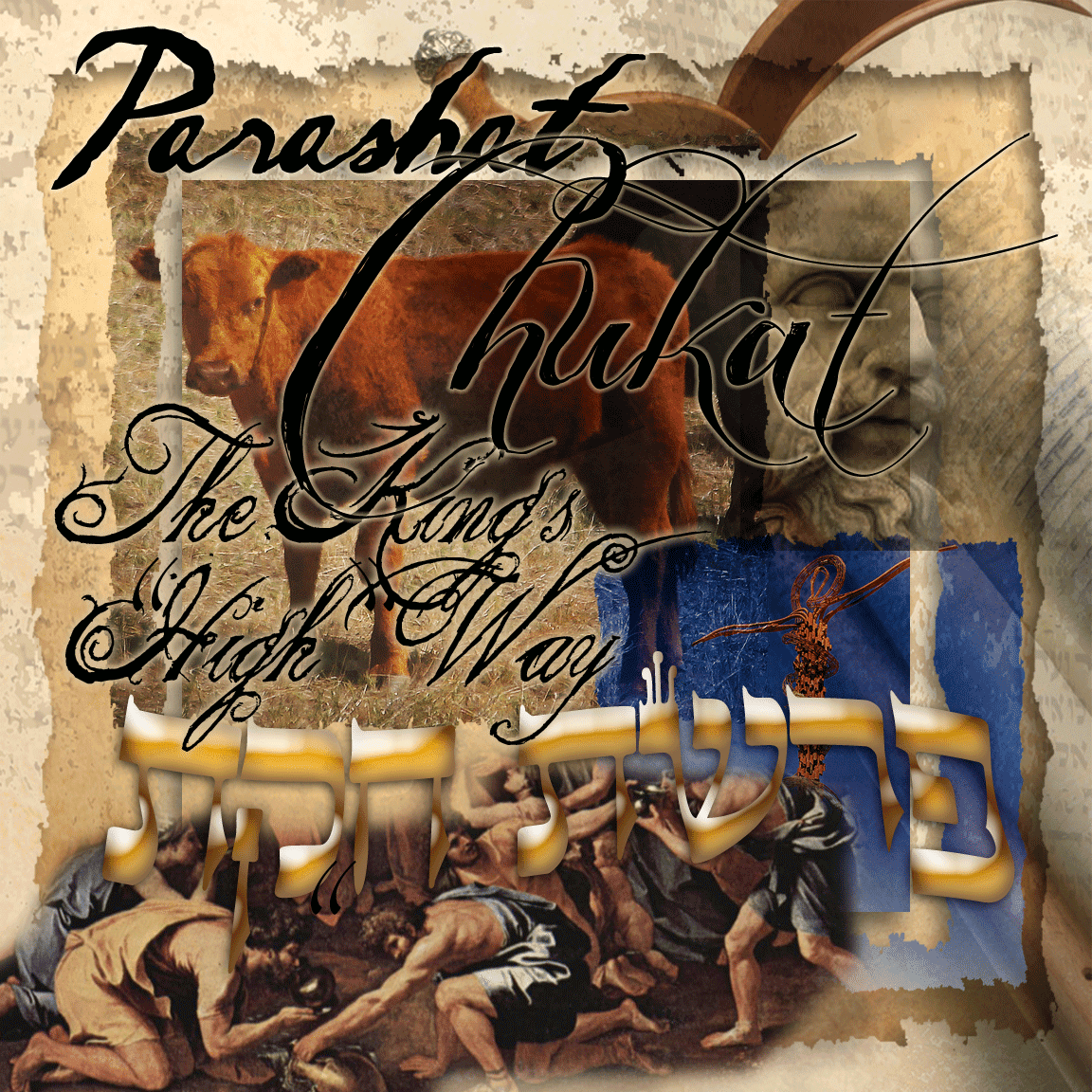 By His EVERY Word: The King’s “High” Way | Parashat Chukat | By His ...