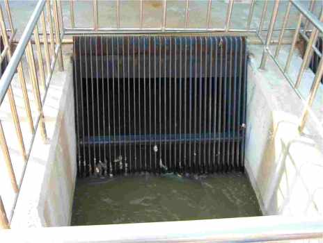 Pengalaman Hidup: Water Intake