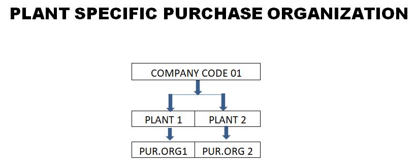 8.2 PURCHASE ORGANIZATION & PURCHASE GROUP in SAP MM