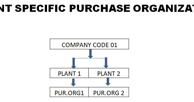 8.2 PURCHASE ORGANIZATION & PURCHASE GROUP in SAP MM