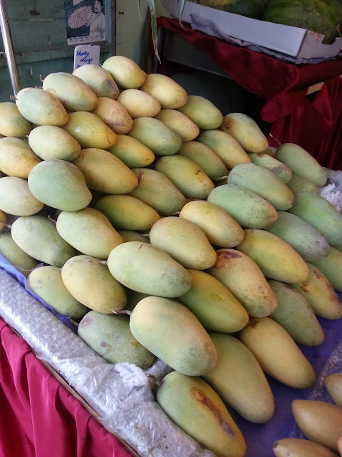 Xing Fu: LOCAL FRUITS