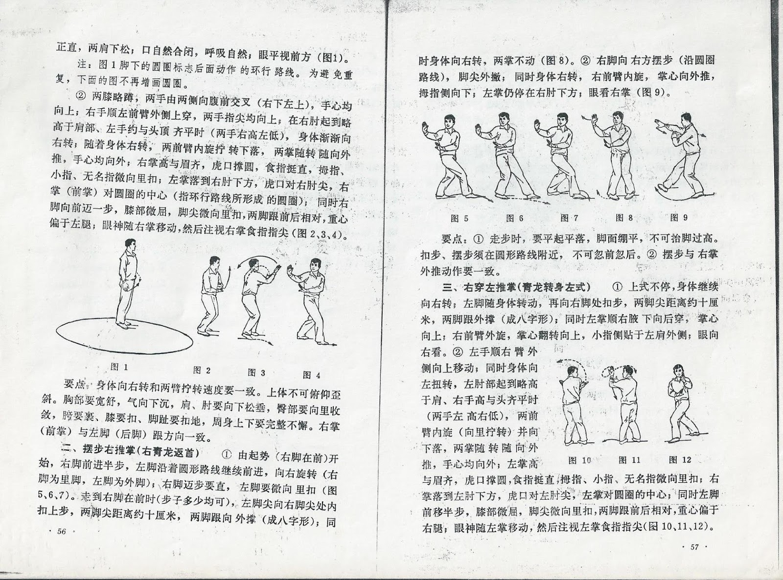 Isshin - Concentration the Art: A Bagua form from my collections