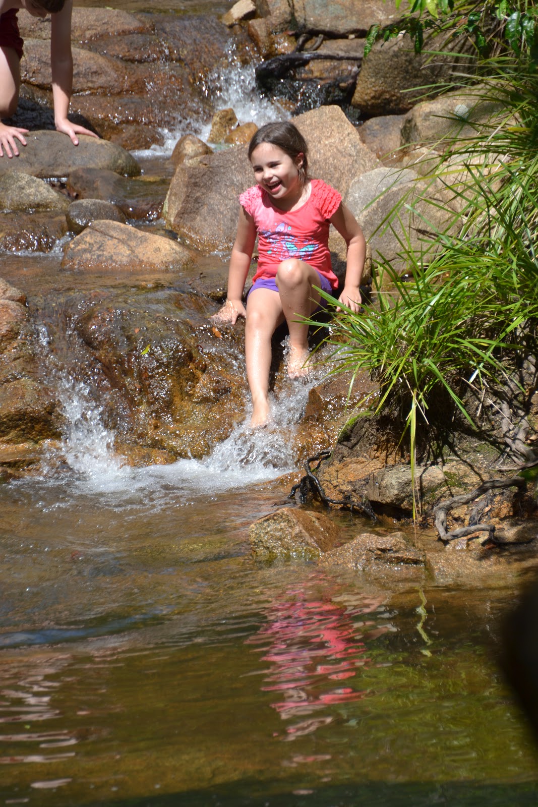 Life & Times: Mothar Mountain Rock Pools at Woondum National Park