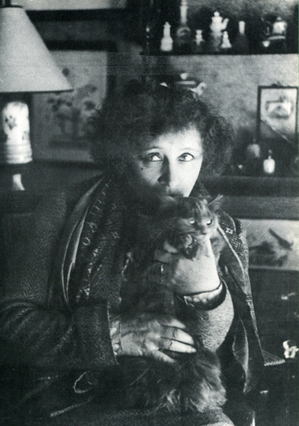 Art et glam: Colette, la passion des chats