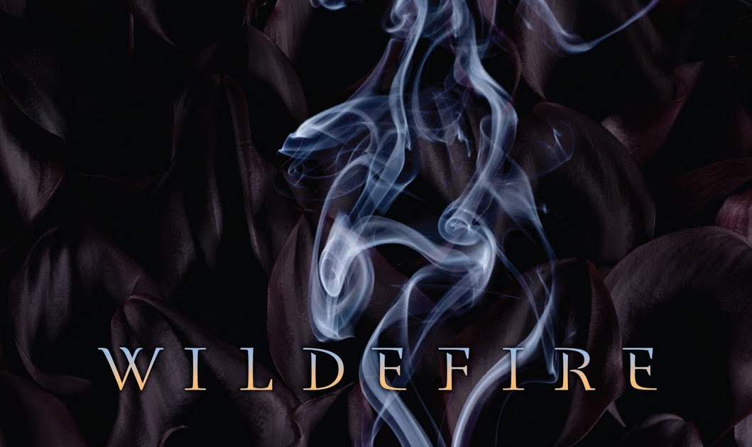 Reading Nook: Review: Wildefire - Karsten Knight
