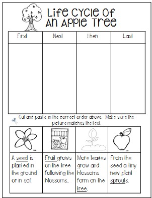 1st Grade Hip Hip Hooray!: Johnny Appleseed brings apple themed ...