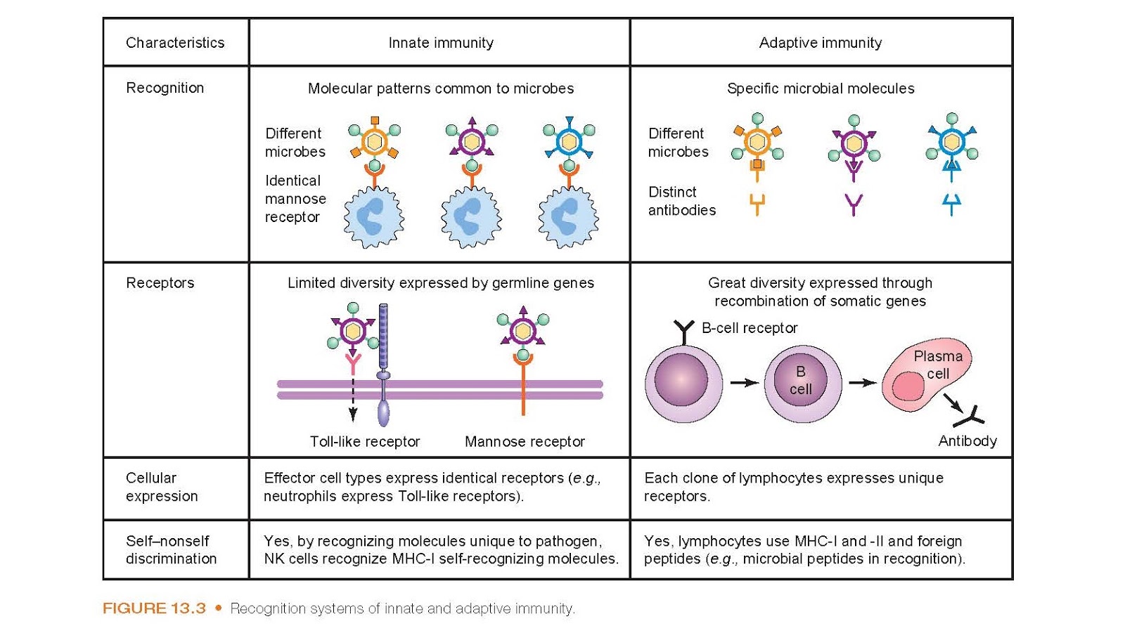 Pathogen Recognition - pediagenosis