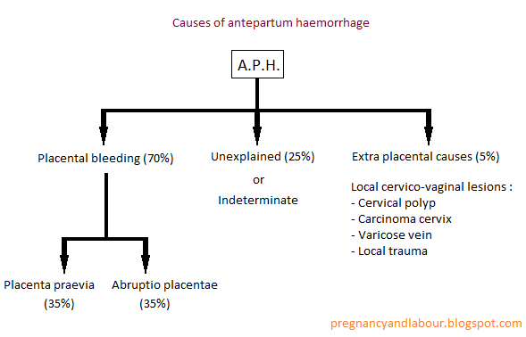 Pregnancy & Labour: Antepartum haemorrhage