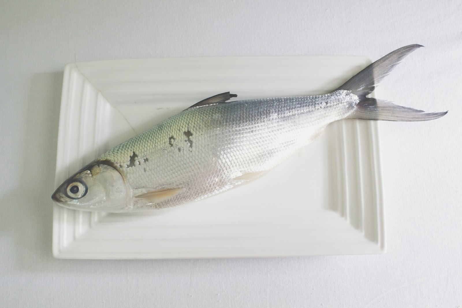 Experience Milkfish Taste with Delicious Recipe - Milkfish Supplier ...