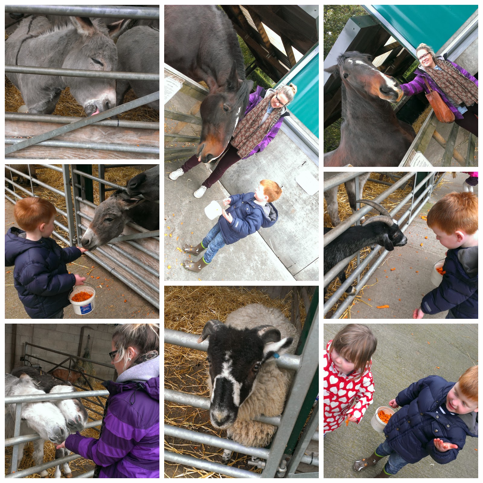 Reddish Vale Farm - An Adventure! - We're going on an adventure