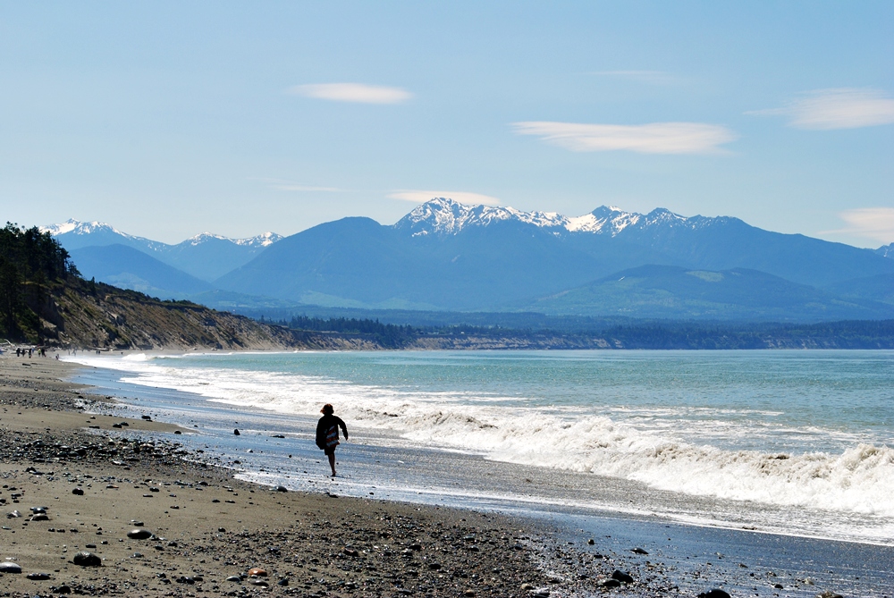 The Bumblebeez: The Unfinished Hike...Dungeness Spit, Sequim WA