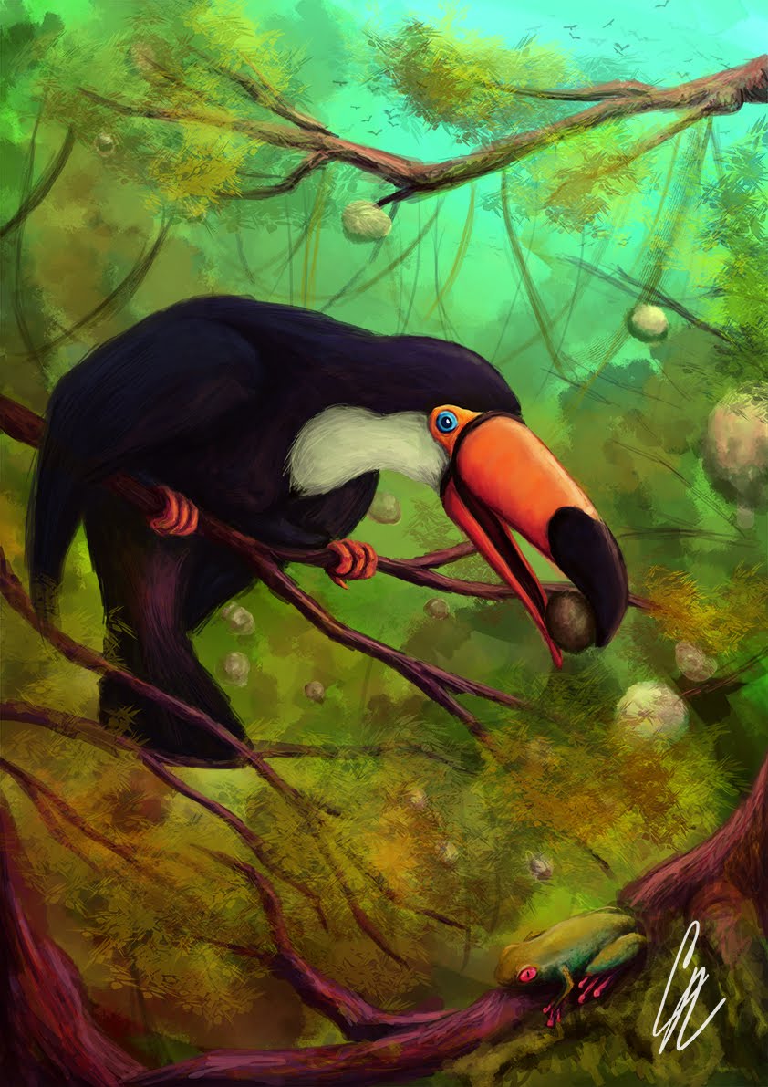 Tucán toco - Christian Ardila