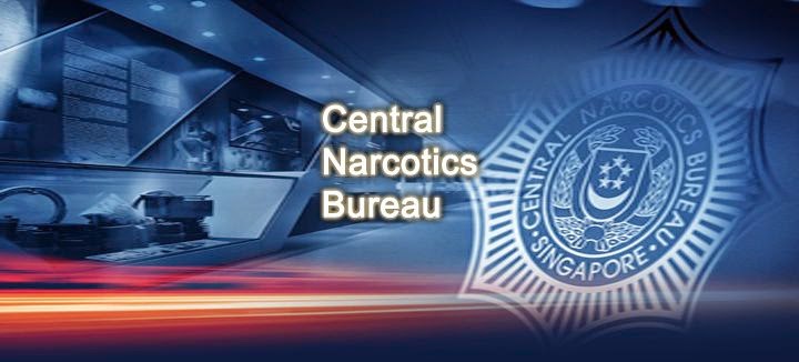 campsite of npcc alumni