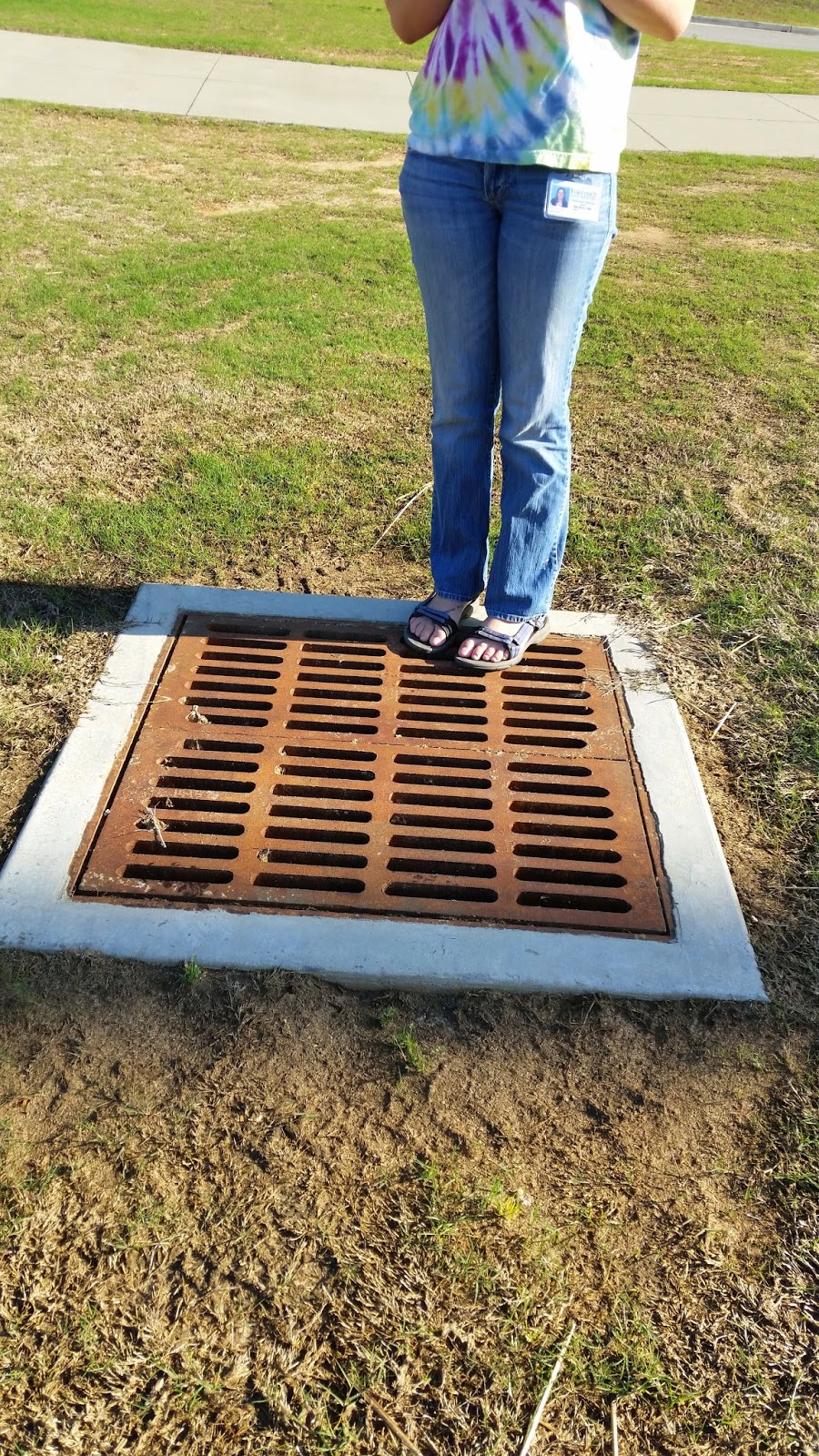 Adventure is Out There: My Internship with Forsyth County Schools