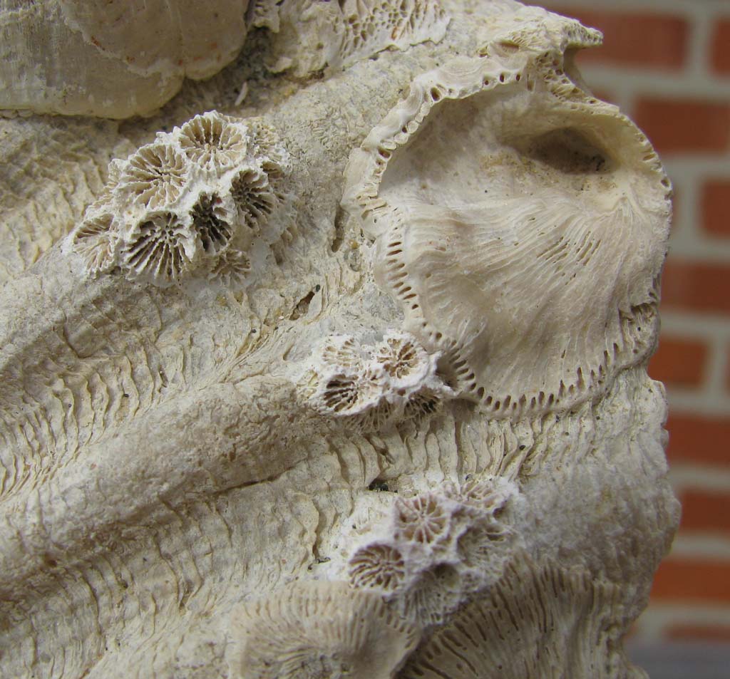 Views of the Mahantango: September 2015