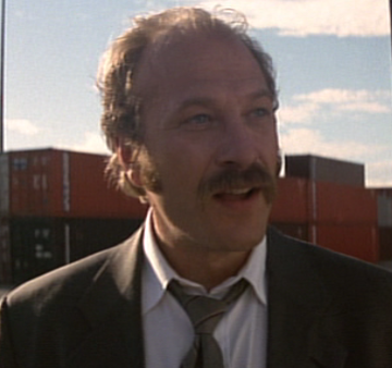 Notebooks on Cinema: A Viewer's Guide to the Minor Characters of Heat ...