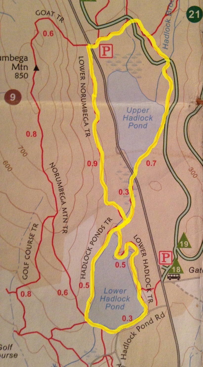 Into the Sky Hole: Hadlock Ponds, October 12, 2015, Acadia National Park