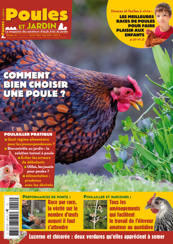 Poules et jardin
