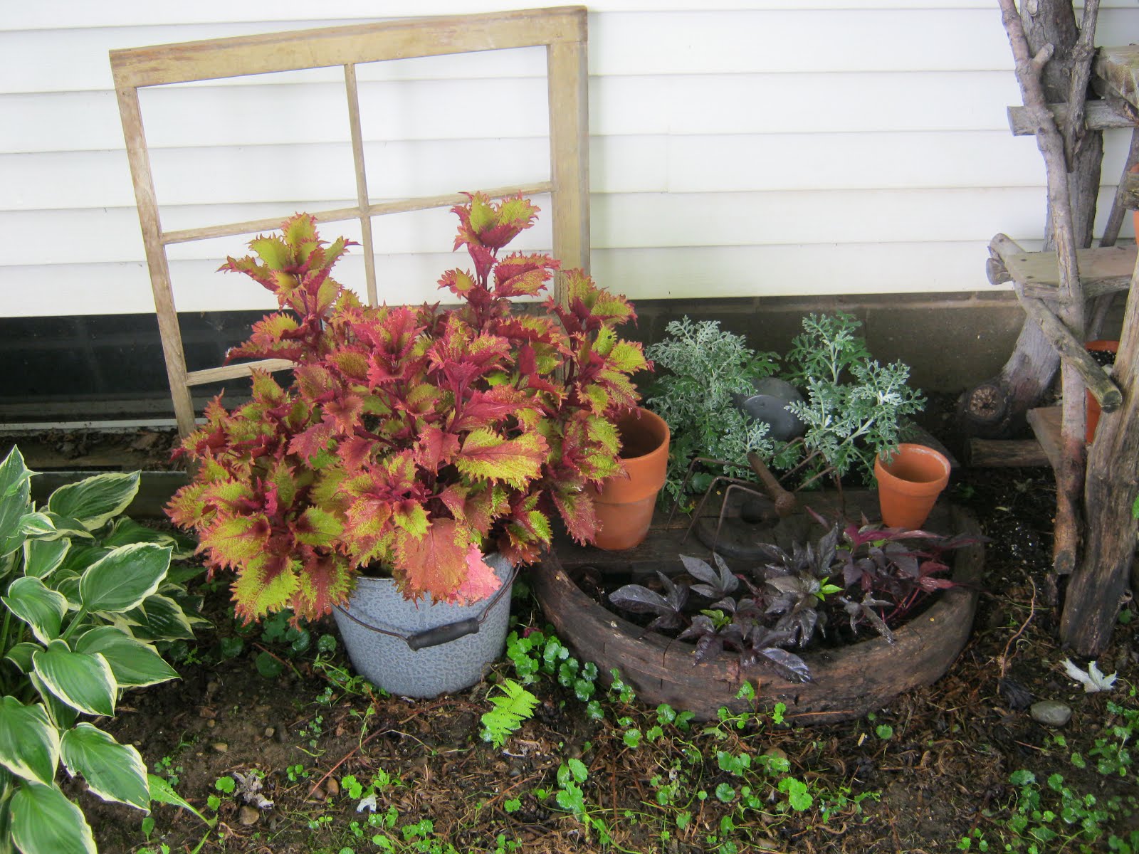 Primitive Passion Decorating: Apple Ladder