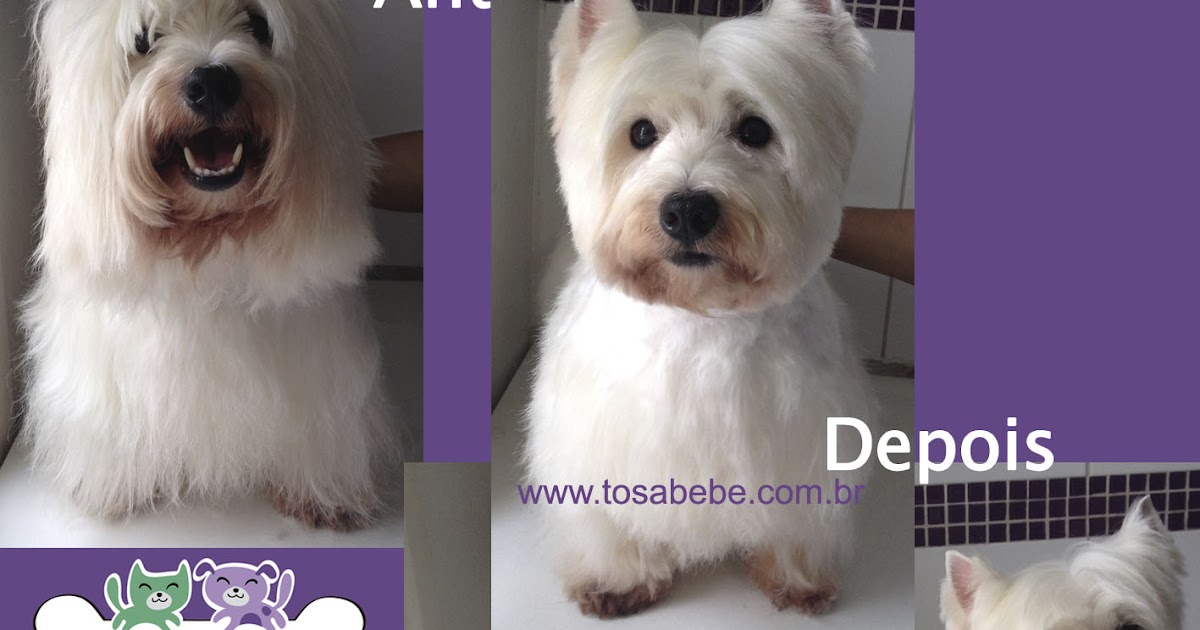 TOSA BEBÊ - TOSA VERÃO - TOSA TESOURA -TOSA PORTO ALEGRE: TOSA BEBÊ ...