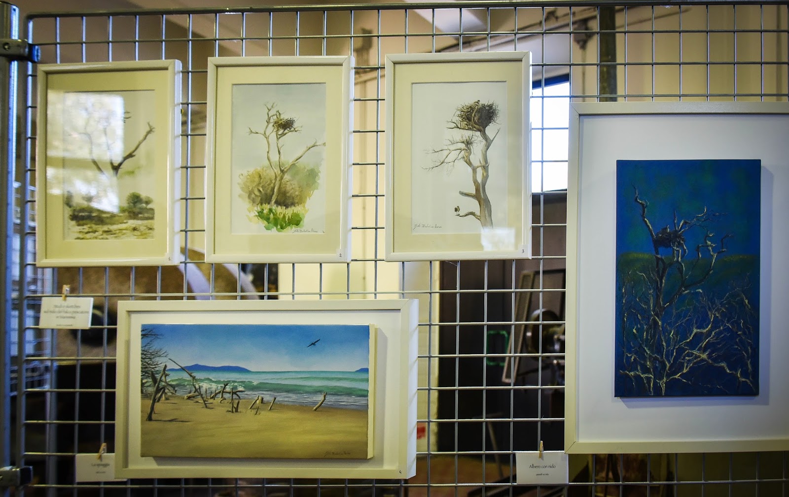 Alessandro Troisi - Osprey's illustrator