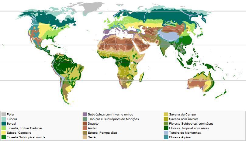 Biomas do mundo: Biomas do mundo